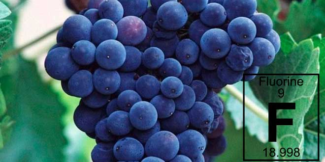 Mineralstoffe - Vollständige Tabelle + Funktion