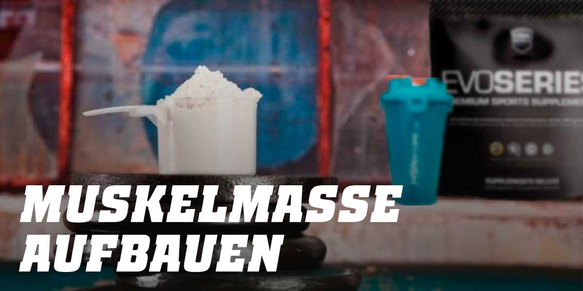 Gewichtszunahme und Muskelaufbau - Ernährung - HSN