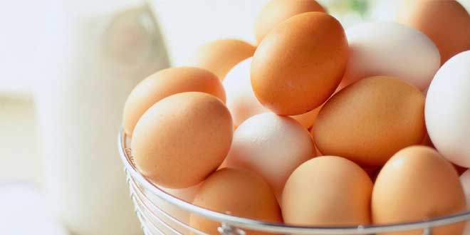 Wie viele Gramm Protein hat ein Ei? | HSN